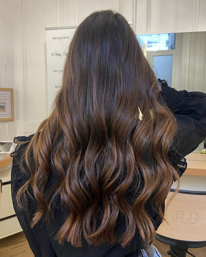 Blog - Jean Louis David